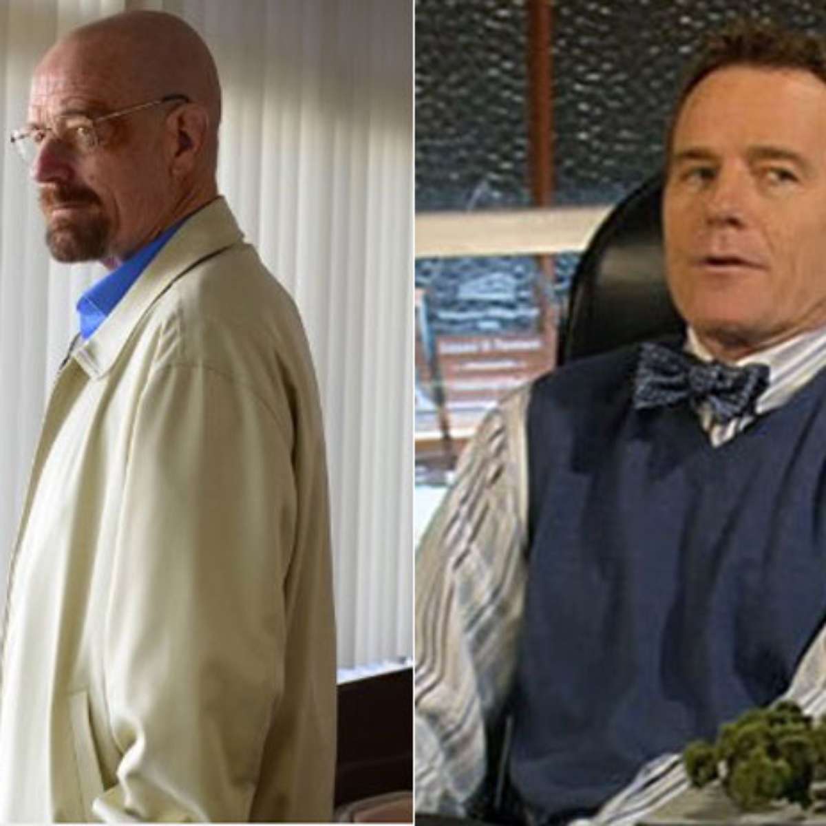 bryan cranston how i met your mother