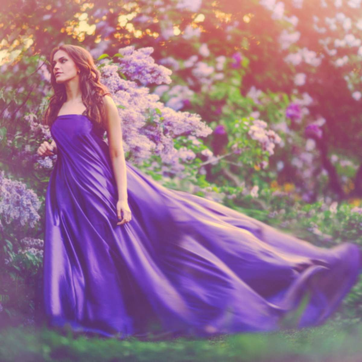 Topo 81+ imagem qual a diferença entre roxo e violeta - br.thptnganamst ... Topo 81+ imagem qual a diferença entre roxo e violeta - br.thptnganamst ...