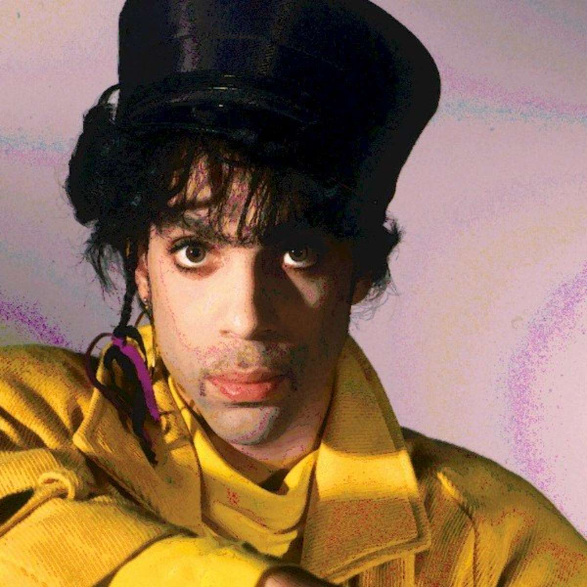 Camille Prince's Instagram, Twitter & Facebook on IDCrawl