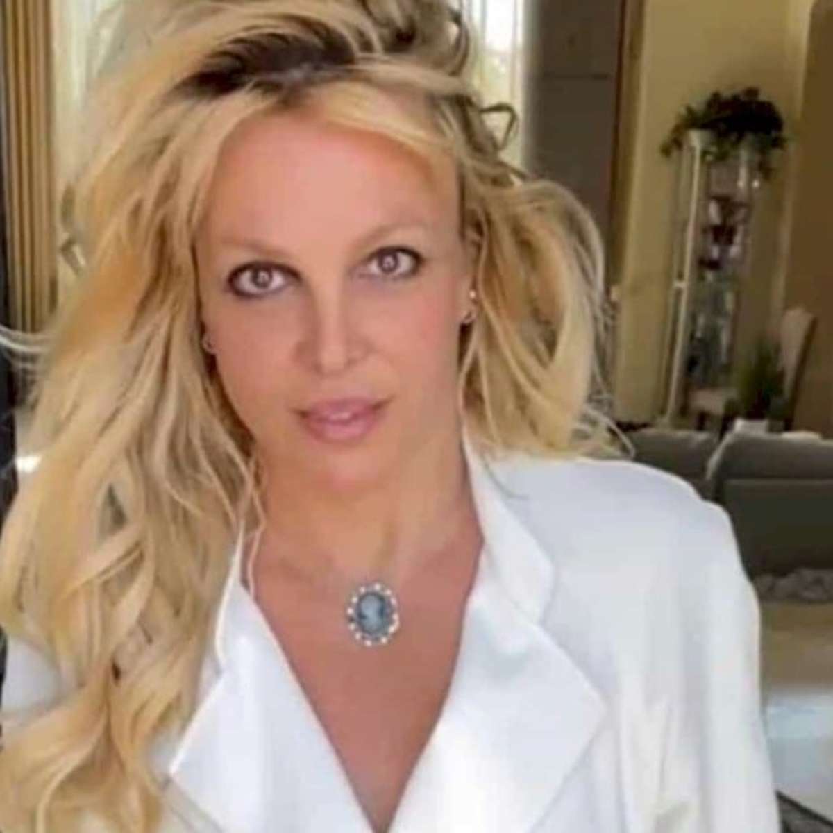 Britney Bear's Instagram, Twitter & Facebook on IDCrawl