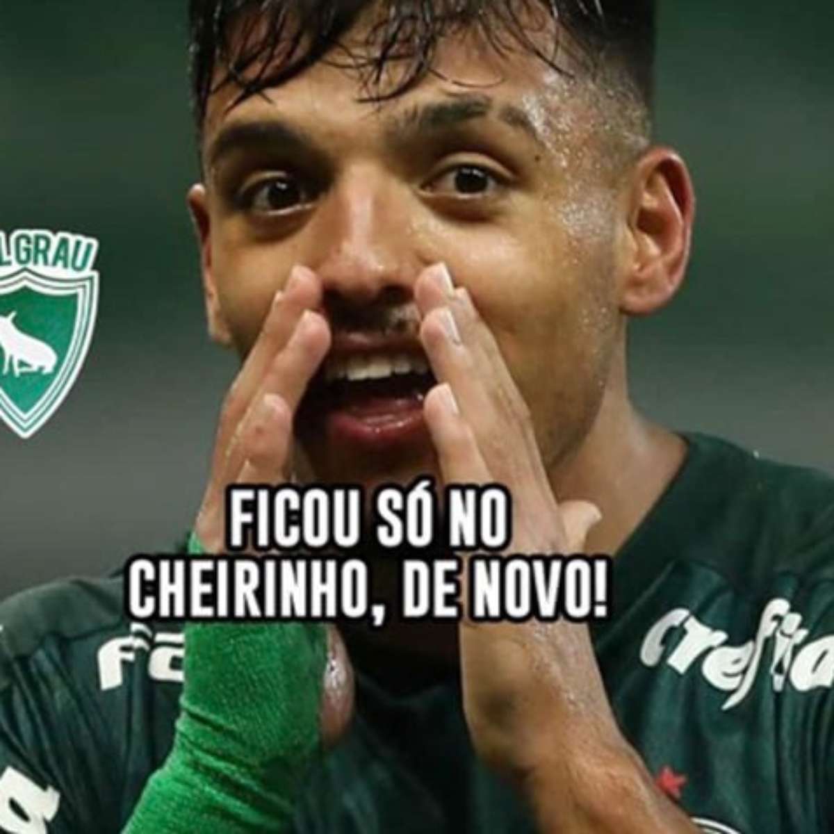 Memes Flamengo Palmeiras