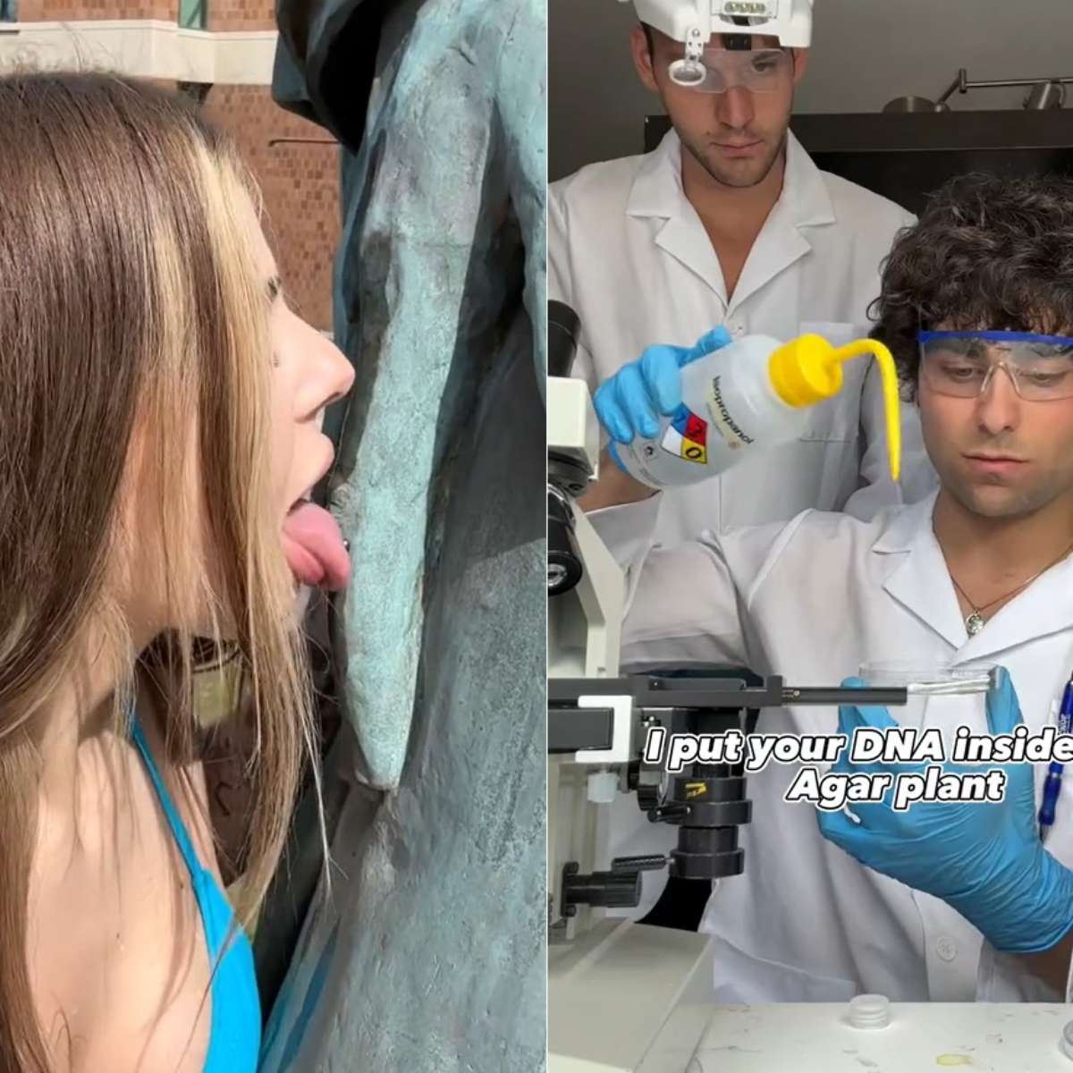 Processo De Clonagem Humana