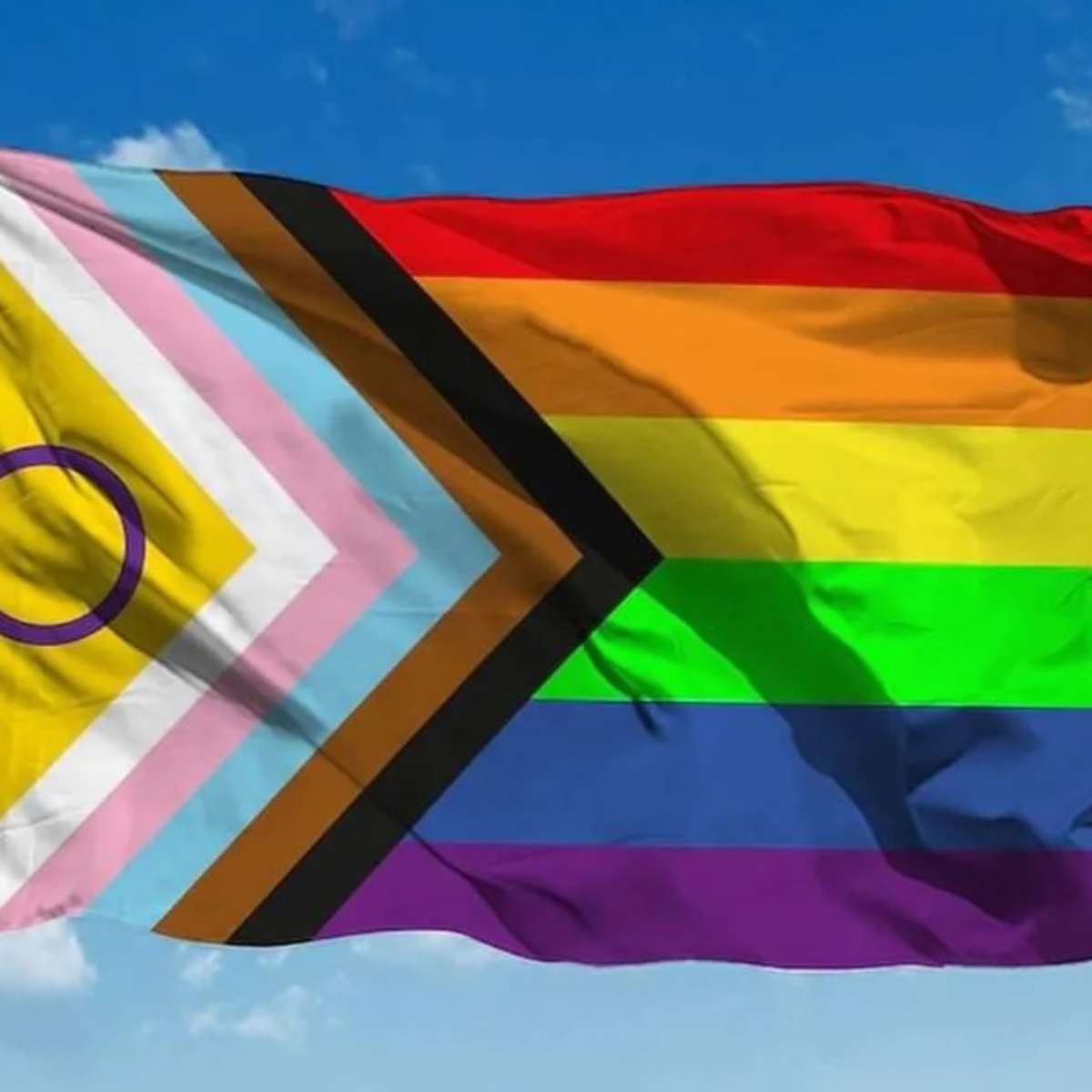 Capas De Bandeira Lgbt