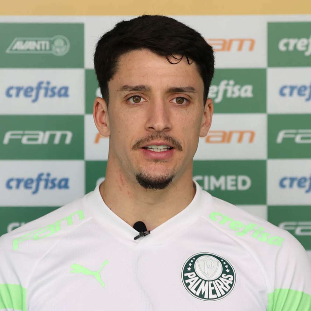 FINAL - GATO DO BRASILEIRÃO - Variedades - BCharts Fórum