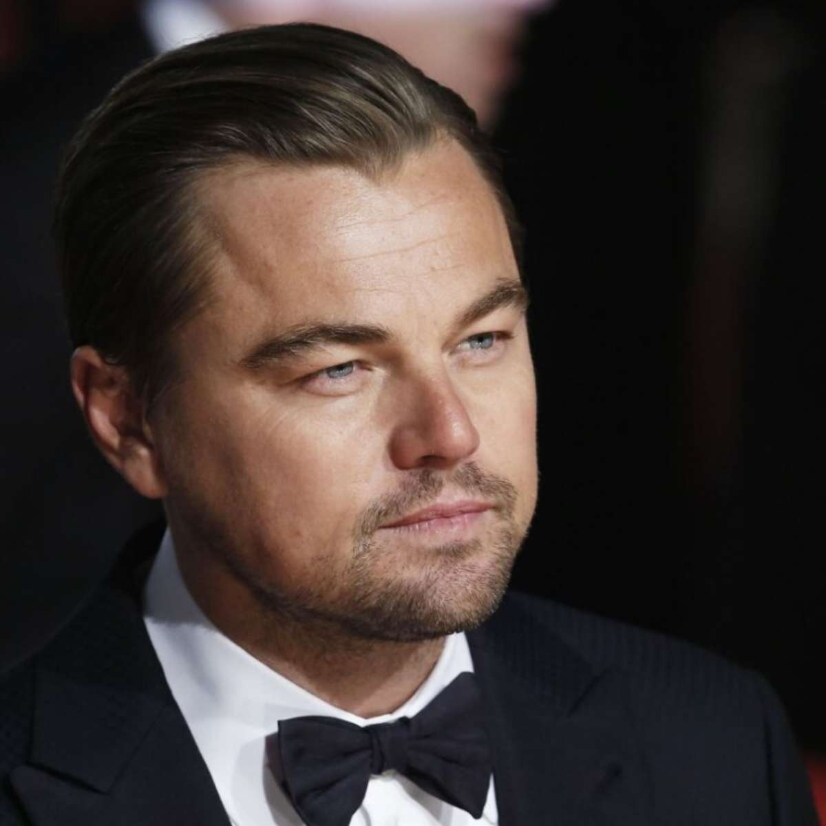 Leonardo Dicaprio Como Ator Mirim