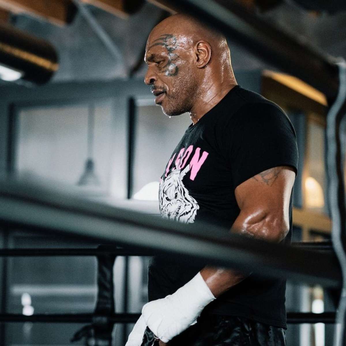Mike Tyson justifica escolha por luta com Jake Paul: Todos tem🐈 Explore ...