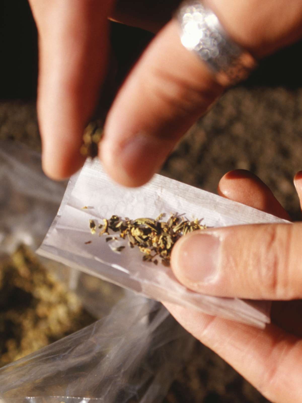 Efeitos De Fumar Maconha Durante A Gravidez Maconha (Cannabis Sativa):