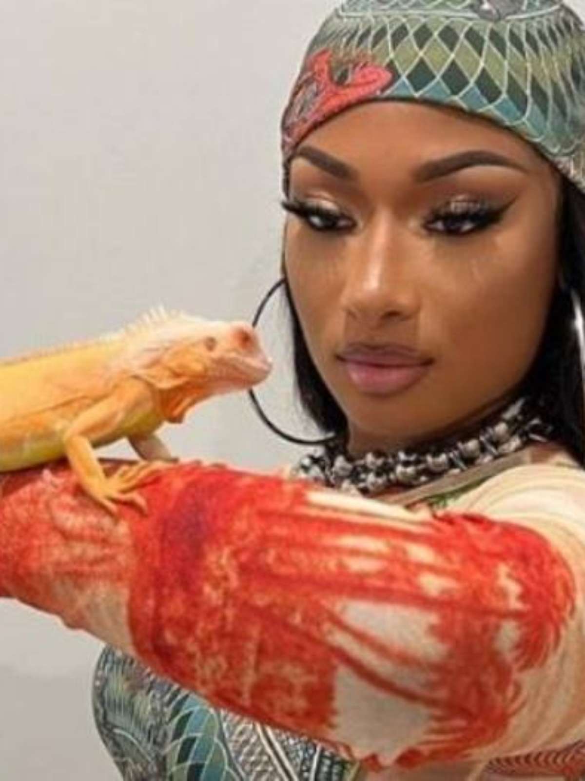 Megan Tree's Instagram, Twitter & Facebook on IDCrawl