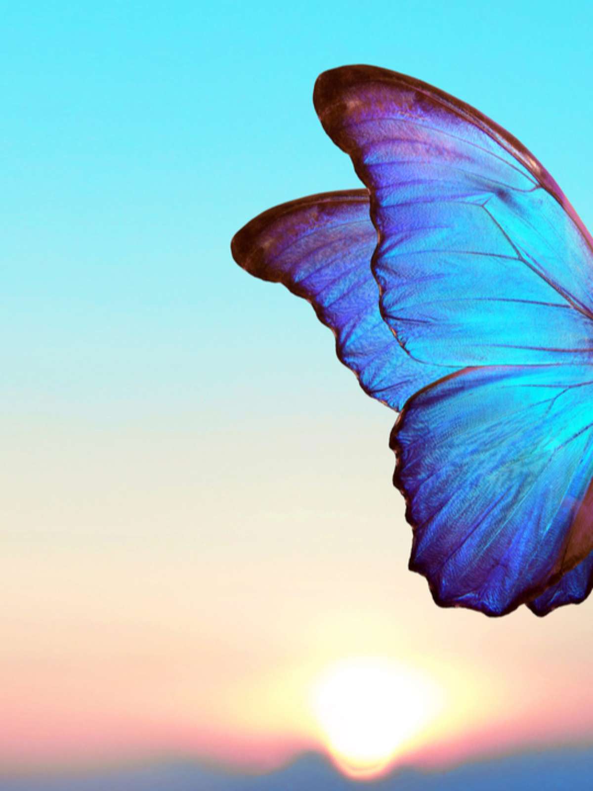 SONHAR COM BORBOLETA: DESCUBRA O SIGNIFICADO OCULTO DE SEUS SONHOS!⭐ ... SONHAR COM BORBOLETA: DESCUBRA O SIGNIFICADO OCULTO DE SEUS SONHOS!⭐ ...