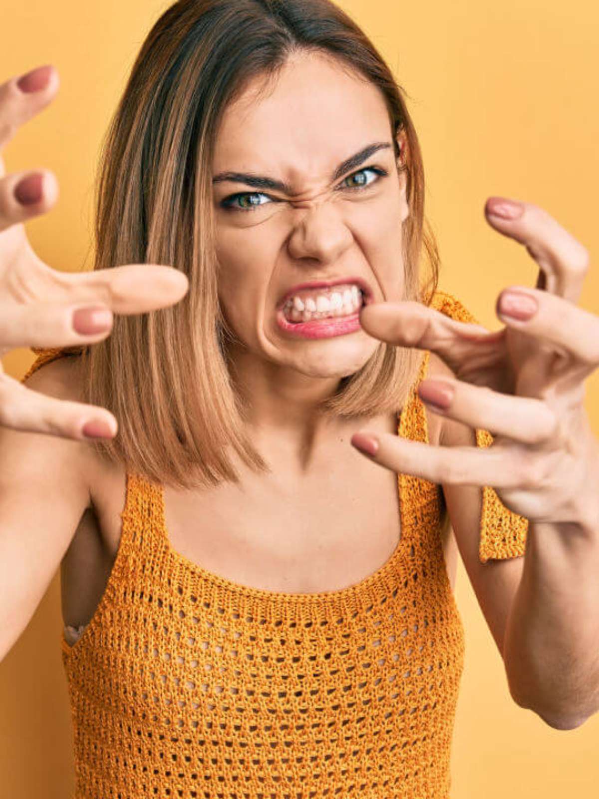 Ok Cara De Raiva Raiva Canina: Como Saber Se O Cachorro Tem Raiva I