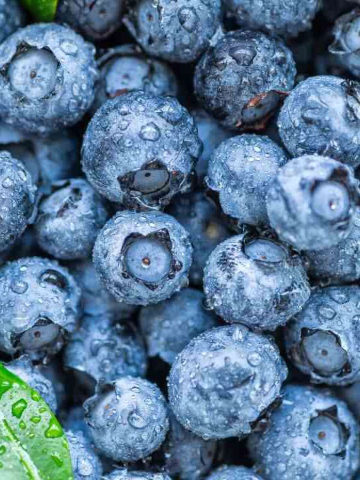 Fruta Azul De Verdade TERÇA E QUARTA VERDE 🥬💚 Frutas E Legumes