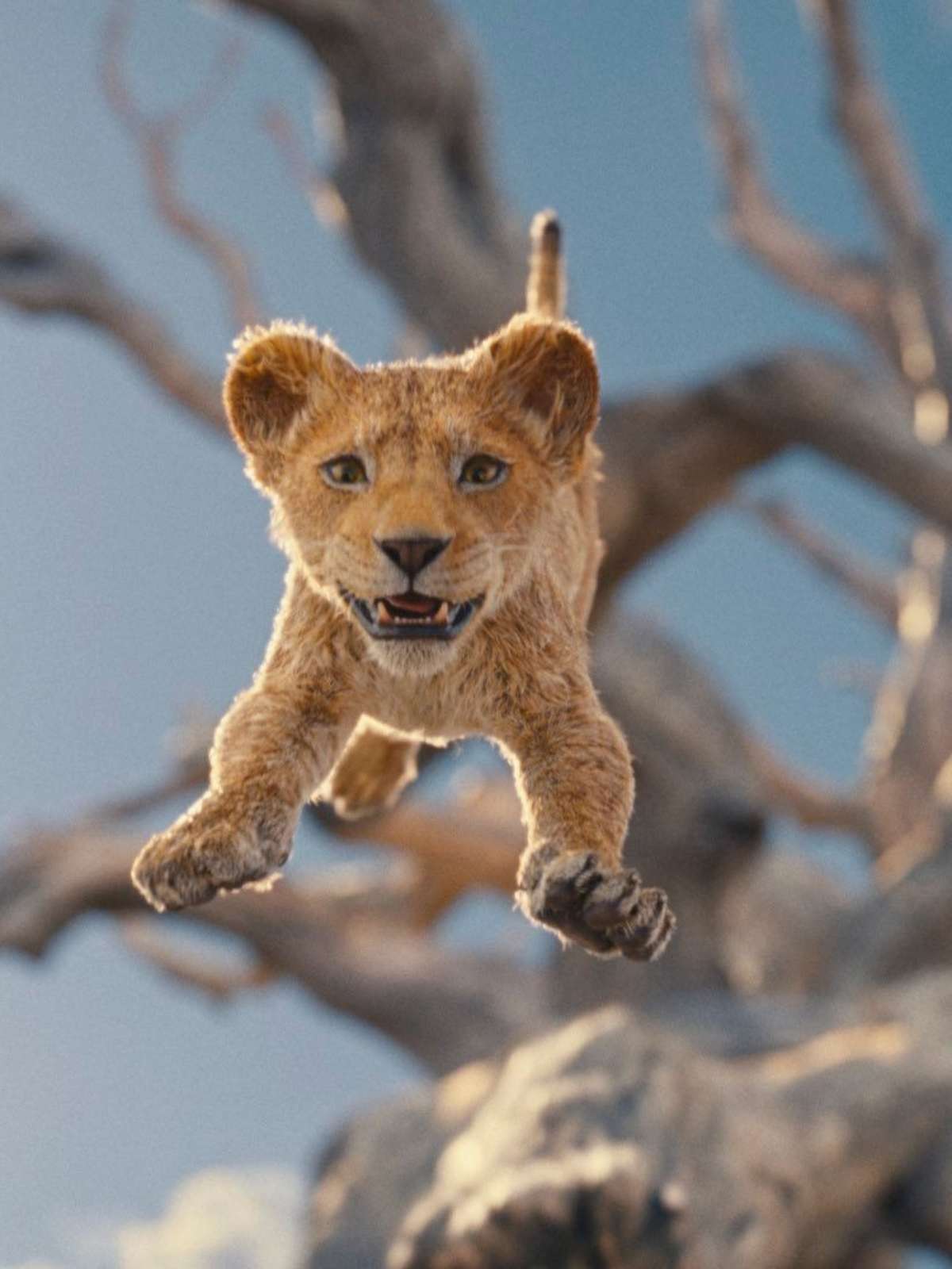 O Rei Leao Simba E Nala Jovem O Rei Leão: Simba E Nala São PRIMOS?