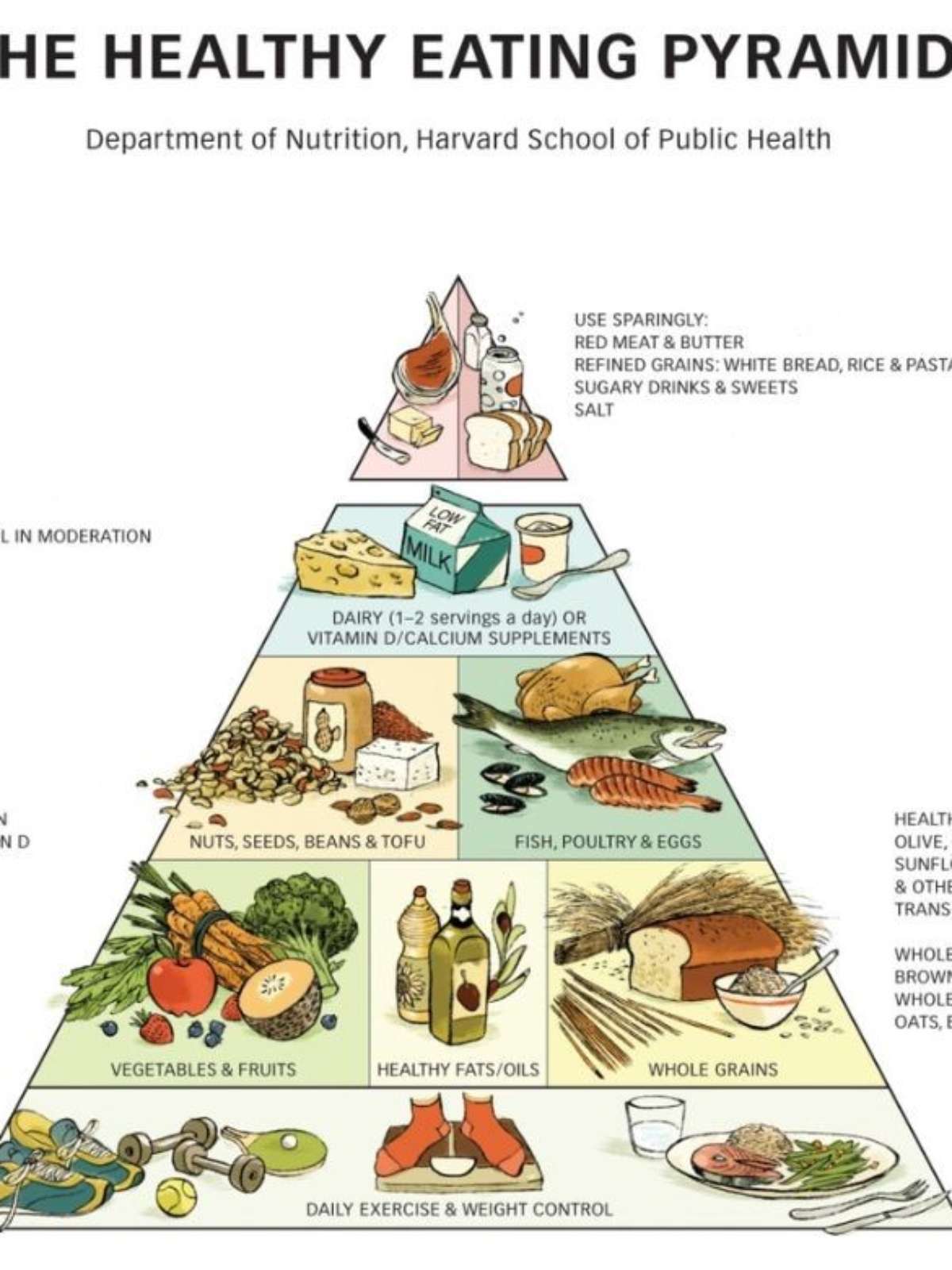Piramide Alimentar De Estilo De Vida Saudavel O Conceito De Dieta