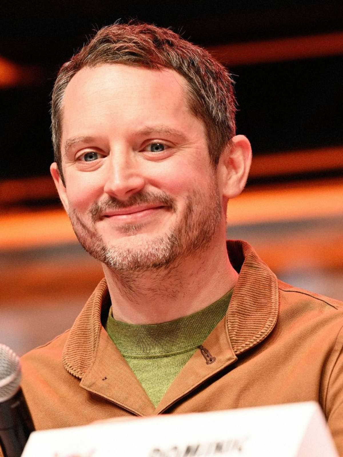 Elijah Wood Senhor Dos Aneis Astros De 'Harry Potter' E 'Senhor Dos