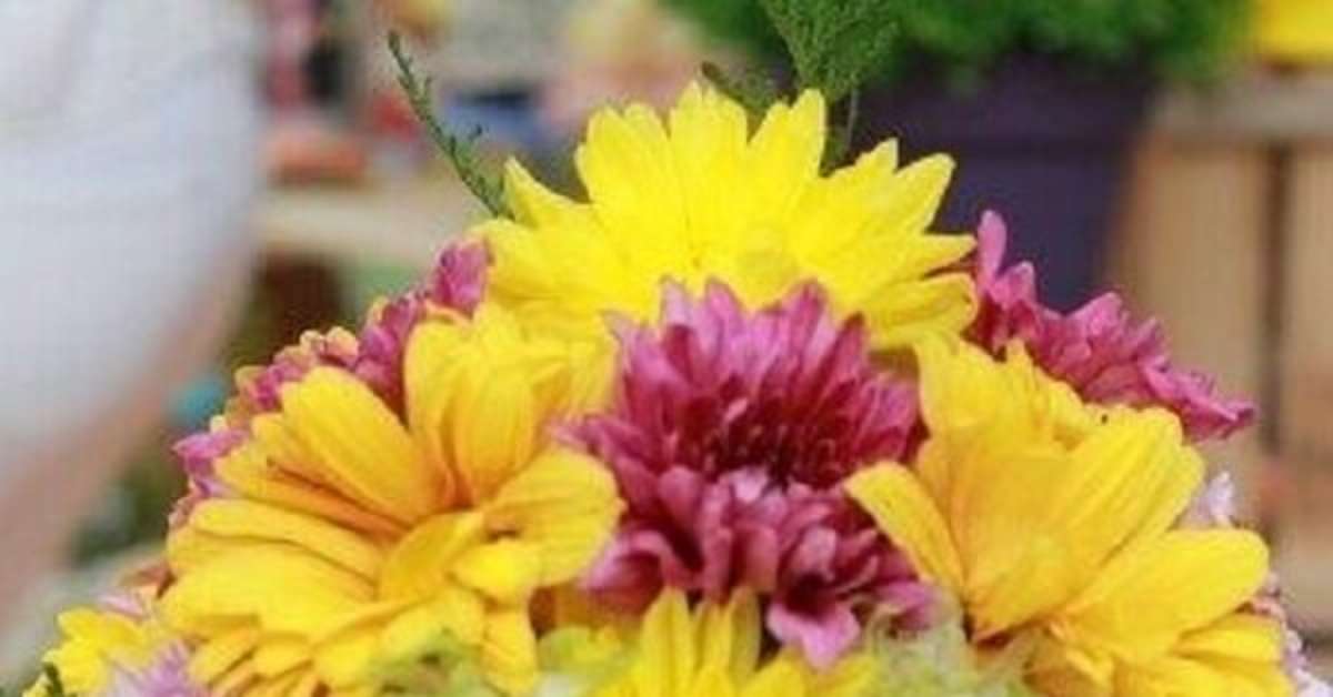 Quais são as flores mais cheirosas do mundo?