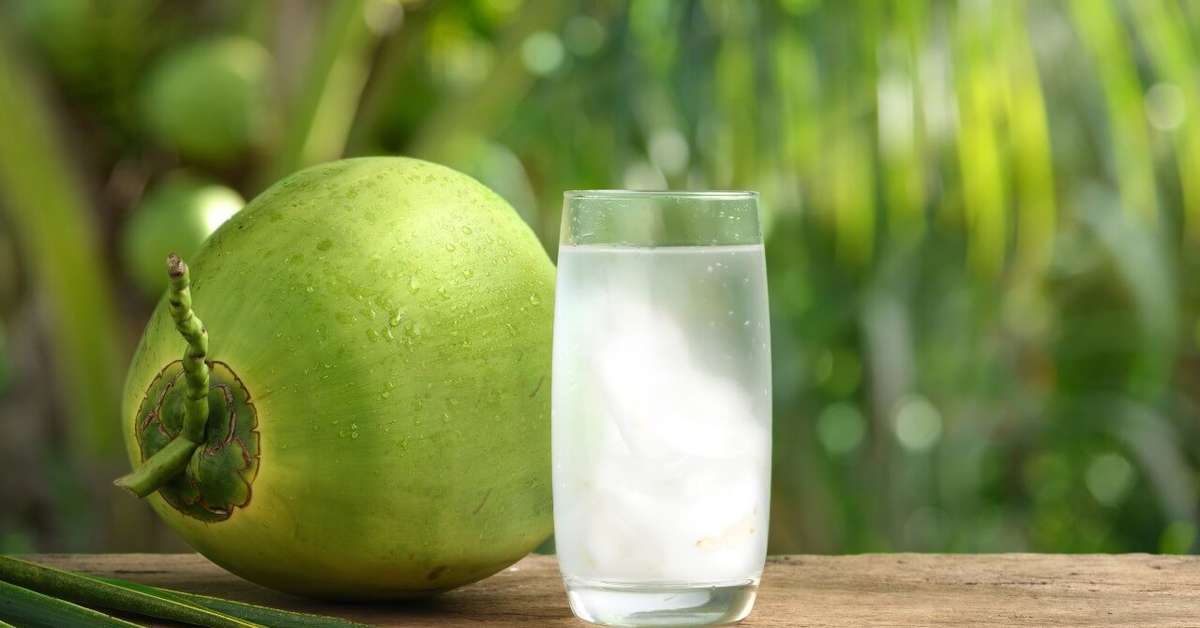 Água de coco hidrata mais? Entenda o que é melhor para o treino