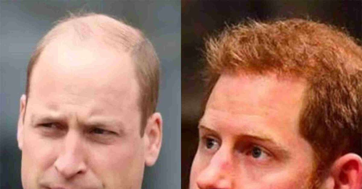 Acordo secreto? Entenda acusação feita pelo príncipe Harry ao irmão William