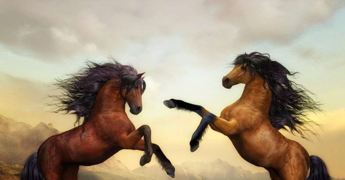 Conheça incríveis raças de cavalo espalhadas pelo planeta