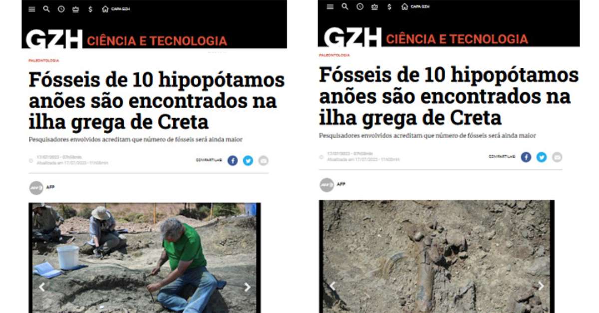 Fósseis de hipopótamos anões são encontrados na Grécia
