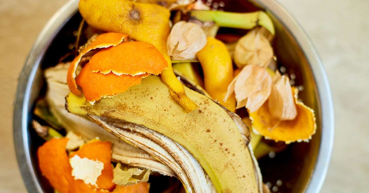 7 cascas de frutas que você deveria consumir para ter mais saúde