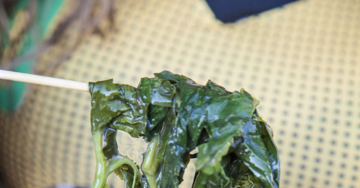 Onde comer tacacá nas periferias de SP? Onde comer tacacá nas periferias de SP?