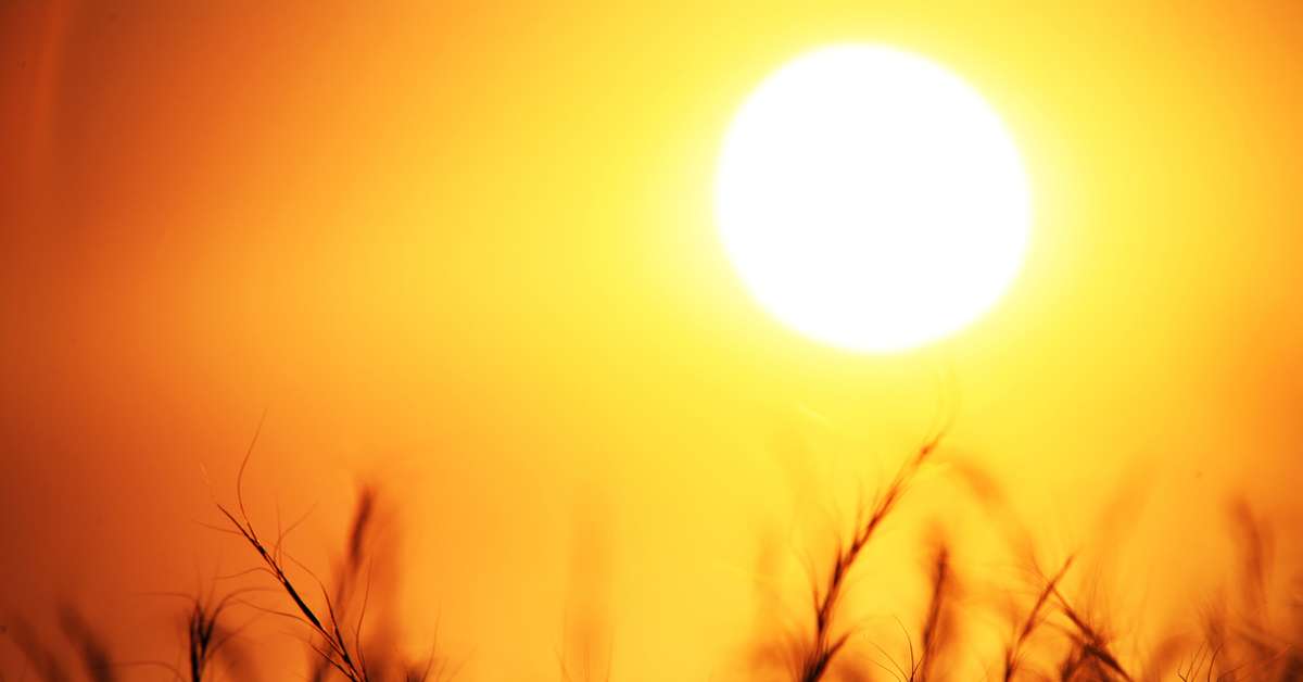 O que é calor e quais são os tipos?