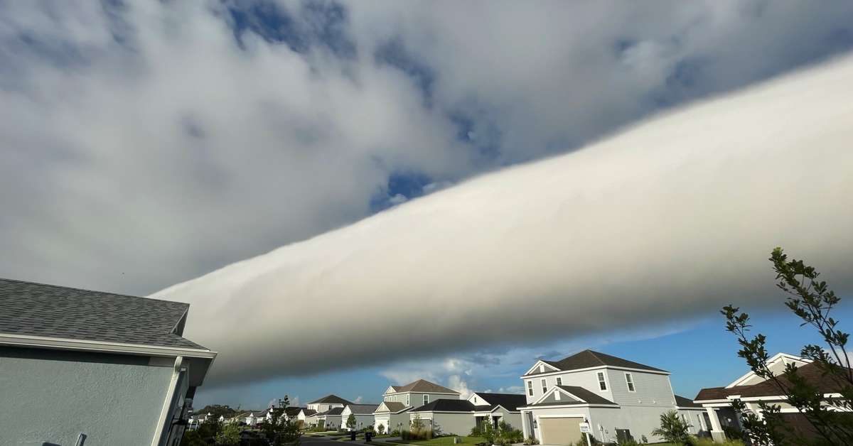 Em formato de rolo, véu e mais: conheça os tipos de nuvens