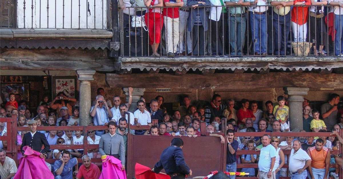 Touradas: conheça a história dessa tradição polêmica