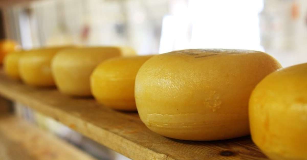 Delícia! Queijos de diversos tipos e suas origens