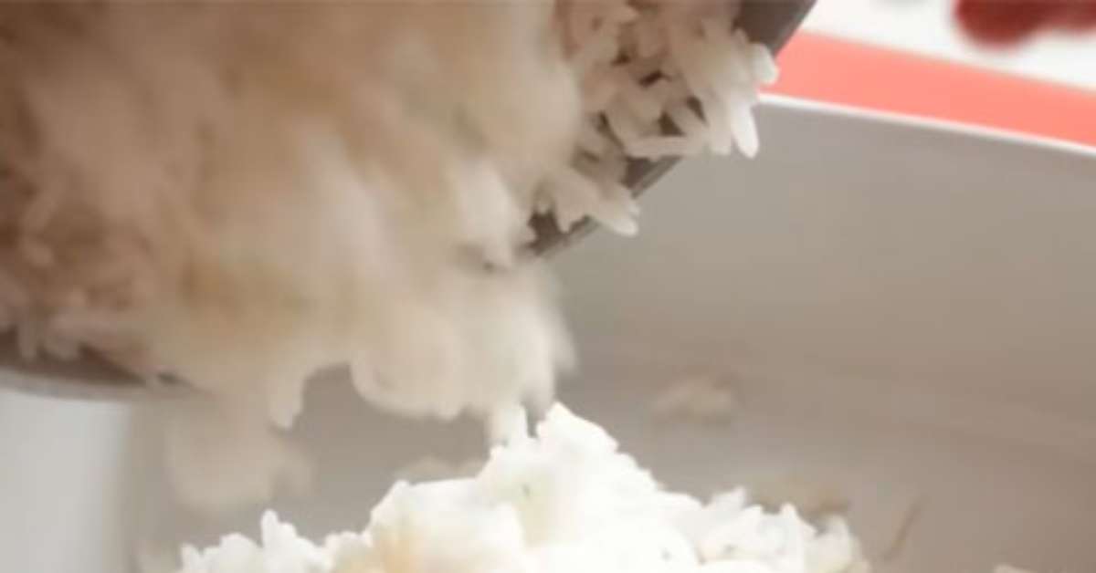 Tipos de arroz são mais variados do que muitos pensam; conheça