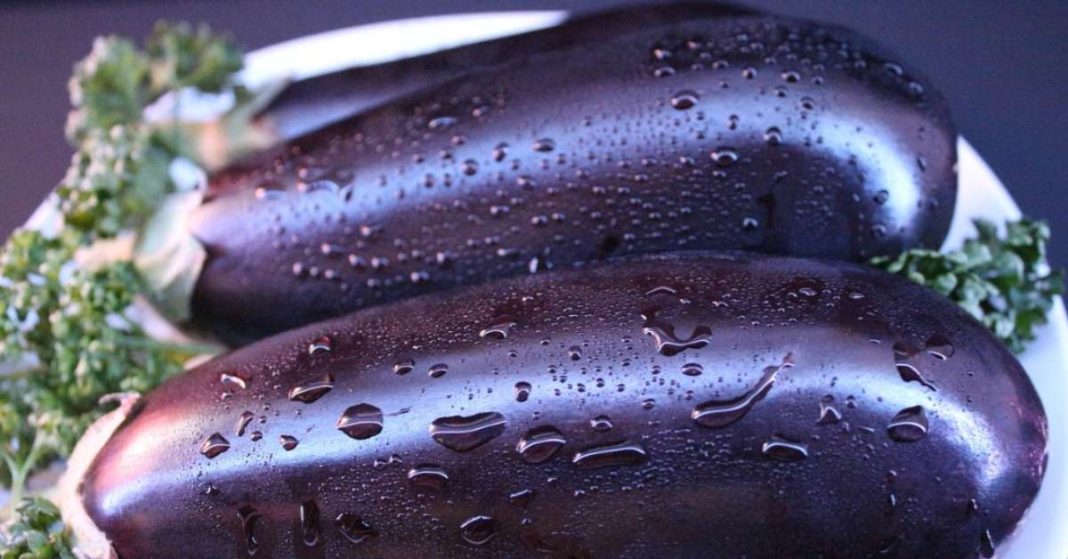 Legume importante, berinjela ajuda até na saúde cerebral