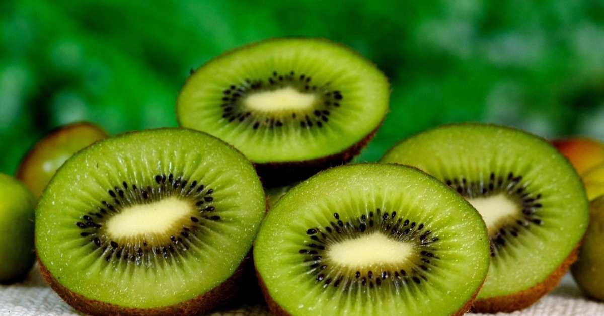 Como o kiwi é aliado natural para a saúde e o bem-estar