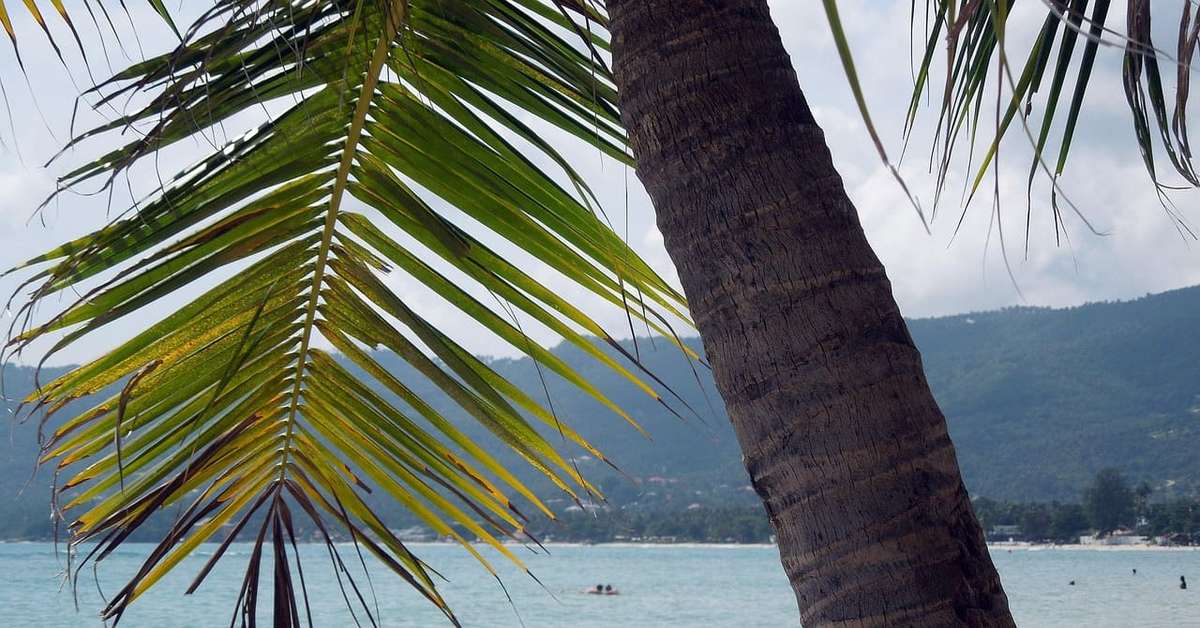 Praias da Tailândia: destinos que transformam a viagem em sonho