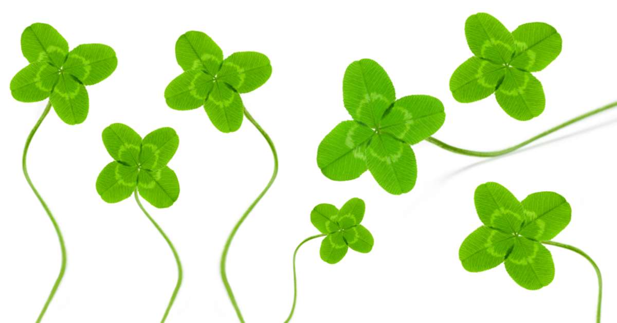 Descubra seu dia e mês de sorte pela numerologia