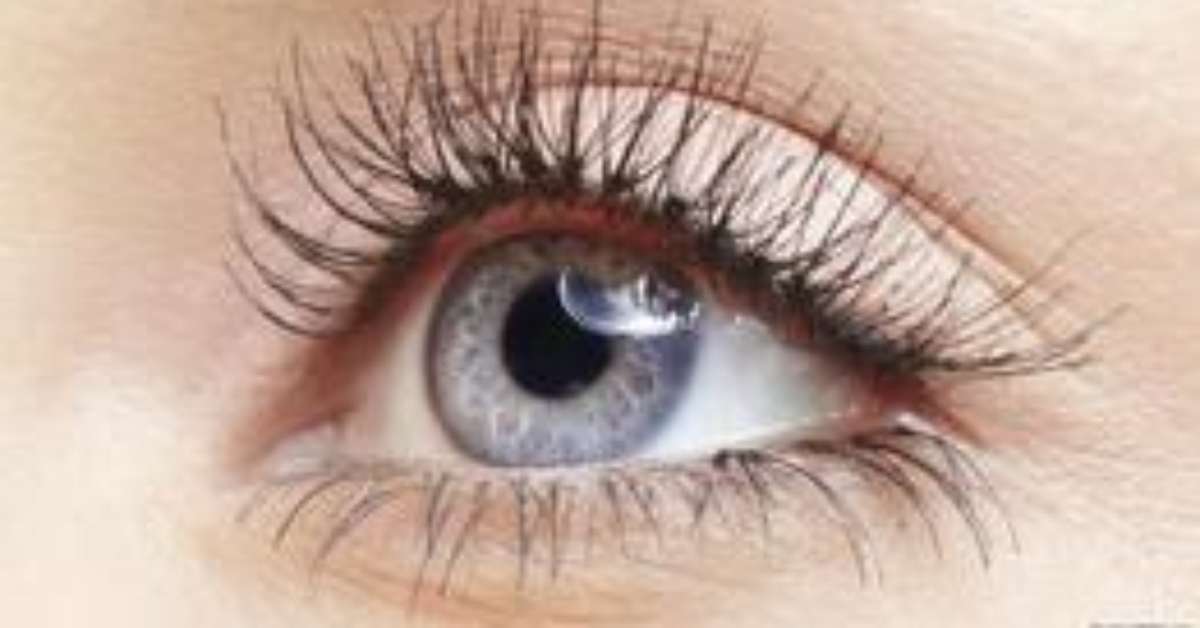 Cílios gigantescos? Estudo aponta tamanho ideal dos fios