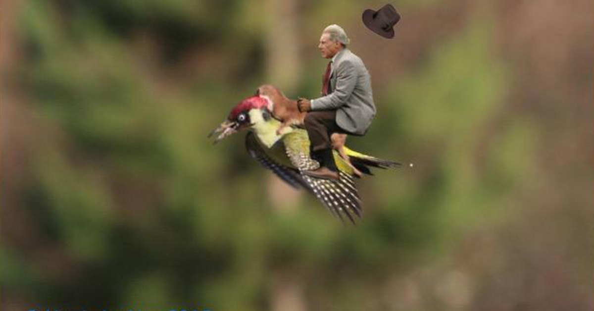 Mas já? Acidente de Harrison Ford gera memes no Twitter