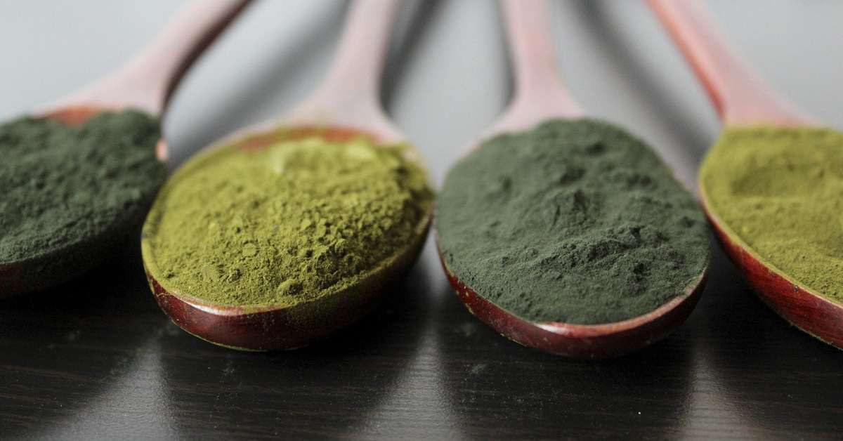 Conheça 4 produtos naturais que podem mudar a sua vida