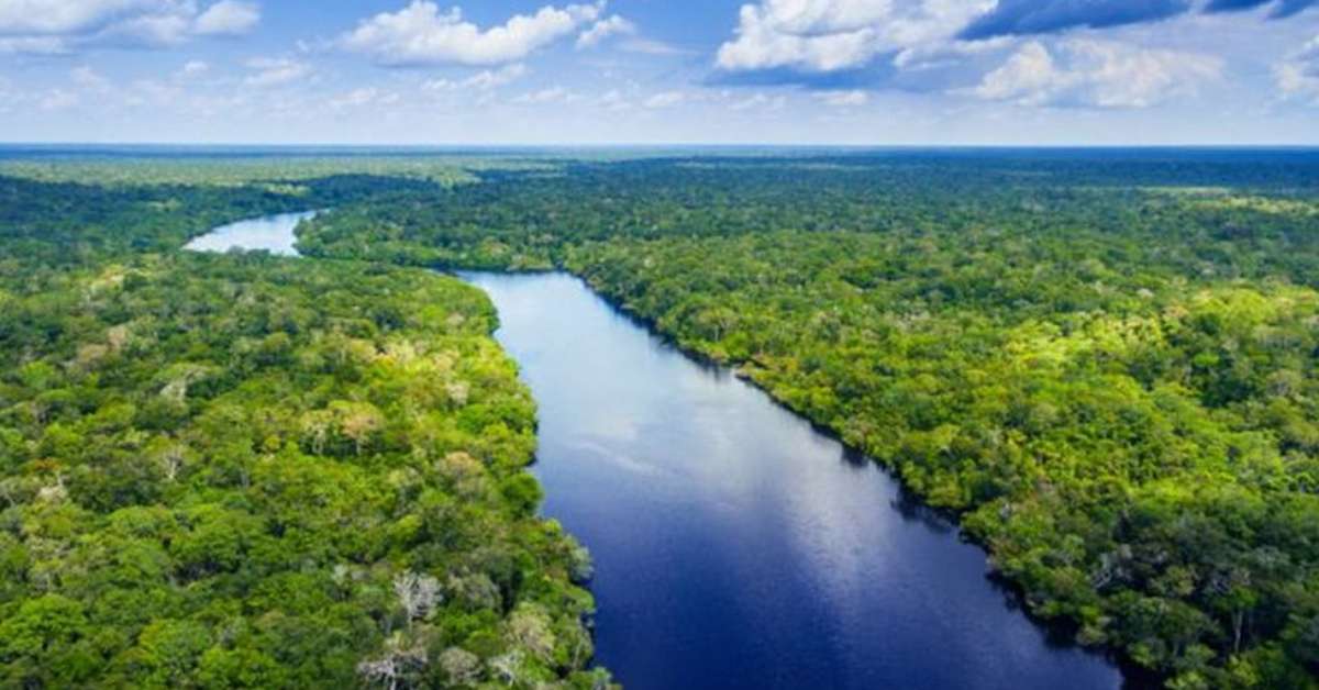 O que são os 'rios voadores' que distribuem a água da Amazônia