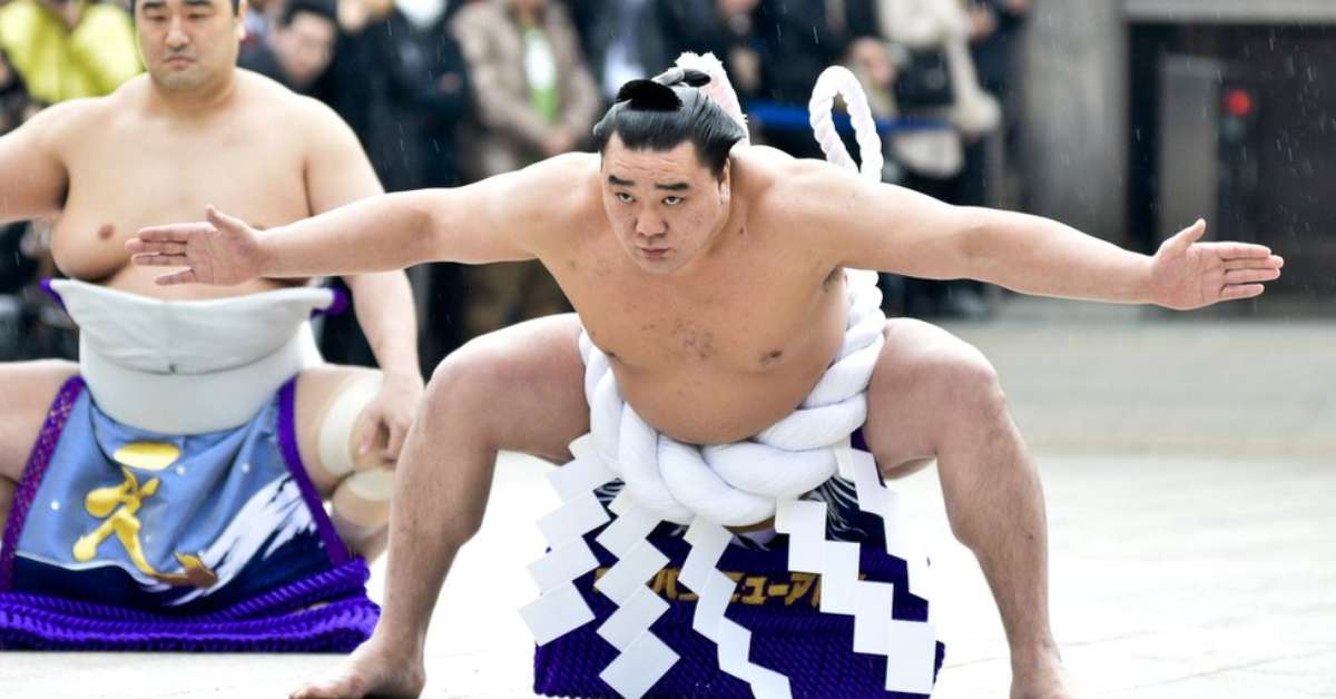 'Chorava todos os dias': o lado obscuro da vida dos lutadores de sumô ...