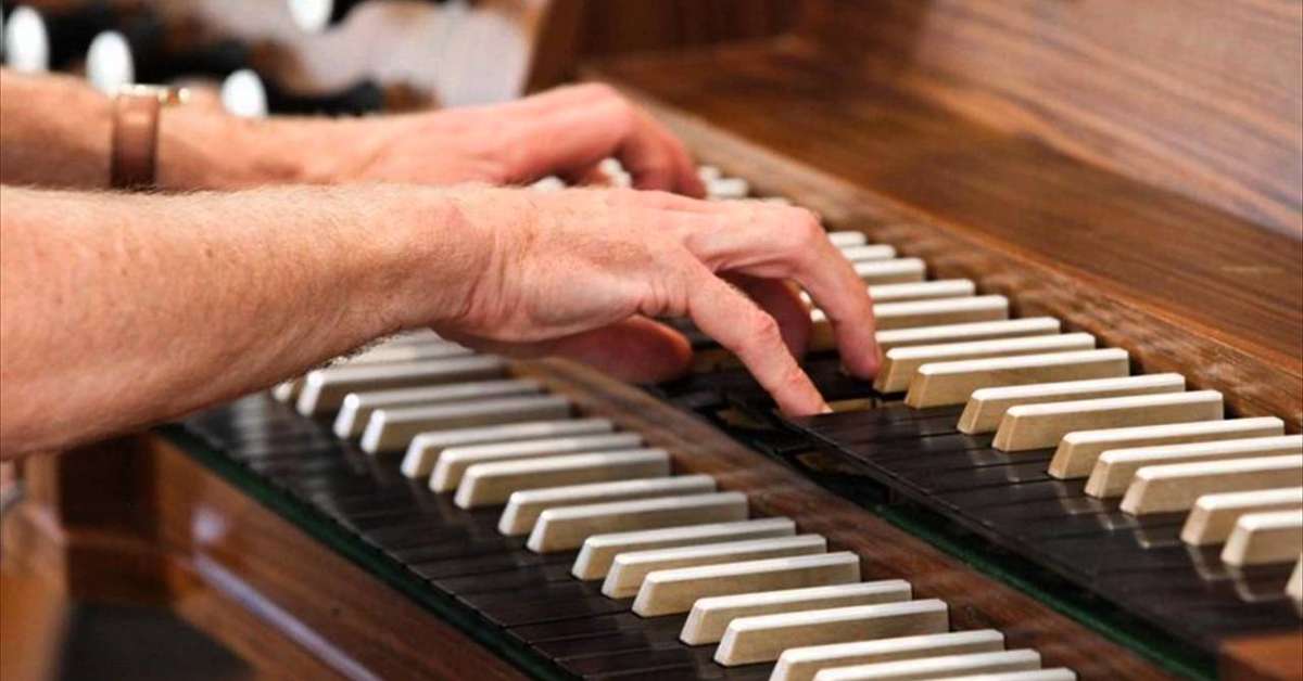 Detalhes ajudam a comprar o órgão eletrônico mais adequado para sua ...