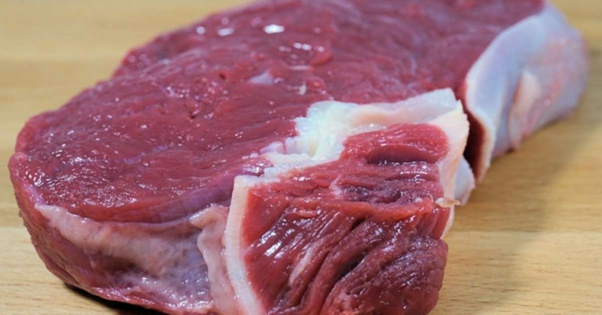 Mitos e verdades sobre a contaminação por bactérias em carne fresca e ...