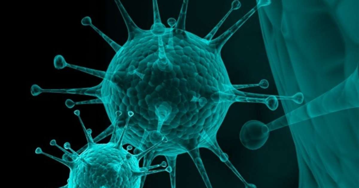 Expectativa de aumento de casos de infecção pelo vírus Influenza no ...