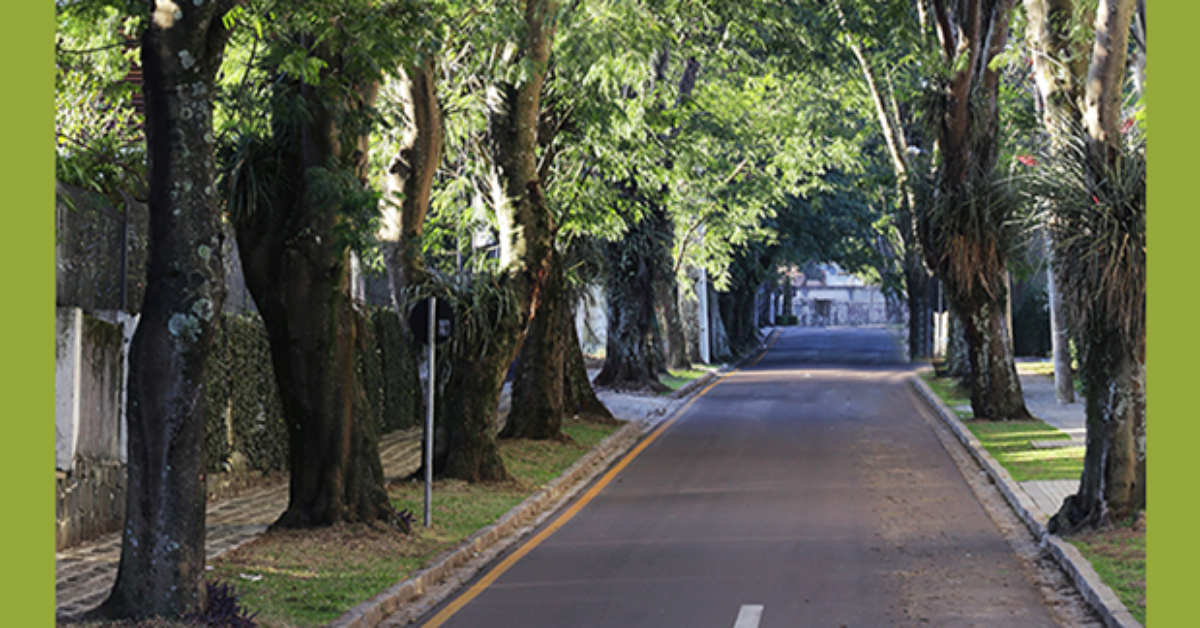 Conheça as 10 ruas mais bonitas do Brasil