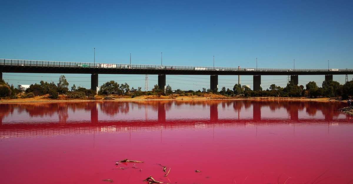 Lago na Austrália fica rosa e impressiona turistas; veja fotos
