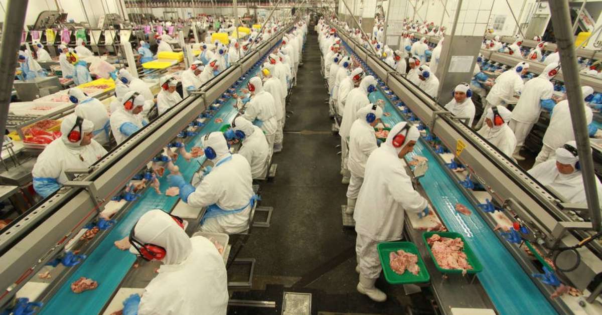 Dona de Sadia e Perdigão, BRF estuda fusão com Marfrig