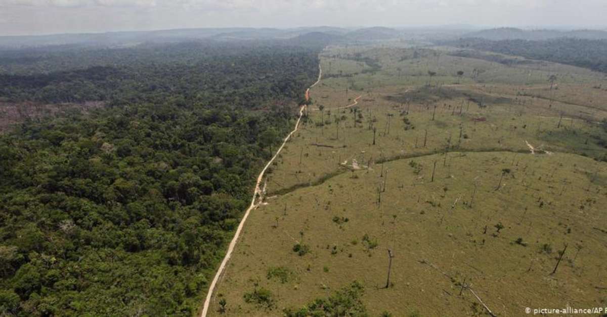 Por que a Amazônia é vital para o mundo?