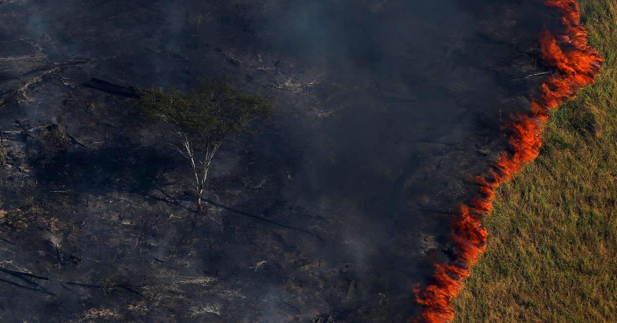 Focos De Queimadas No País Batem Recorde E Passam De 70 Mil Pontos No Ano