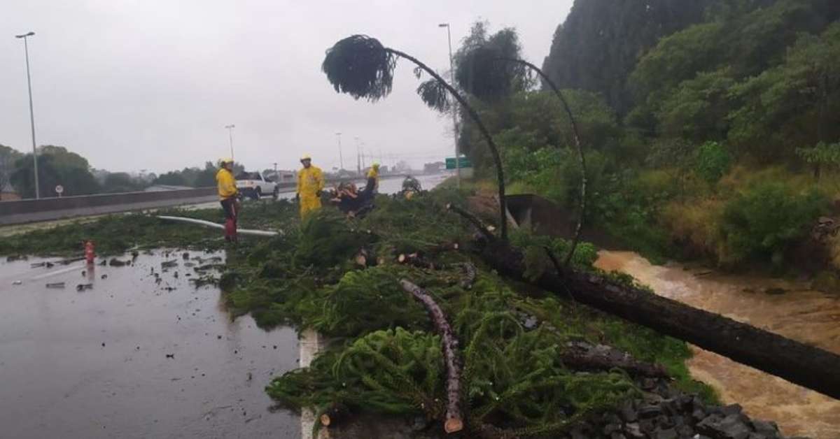 Ciclone bomba: o que é o fenômeno que atingiu o sul do país Ciclone bomba: o que é o fenômeno que atingiu o sul do país