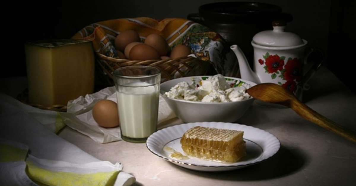 Alimentação: qual a importância dos laticínios?