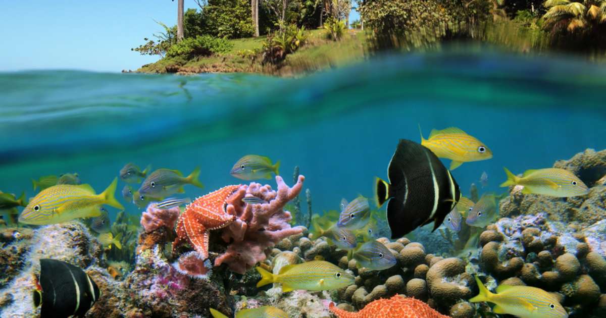 Conjunto natural dá a Guadalupe título de patrimônio mundial